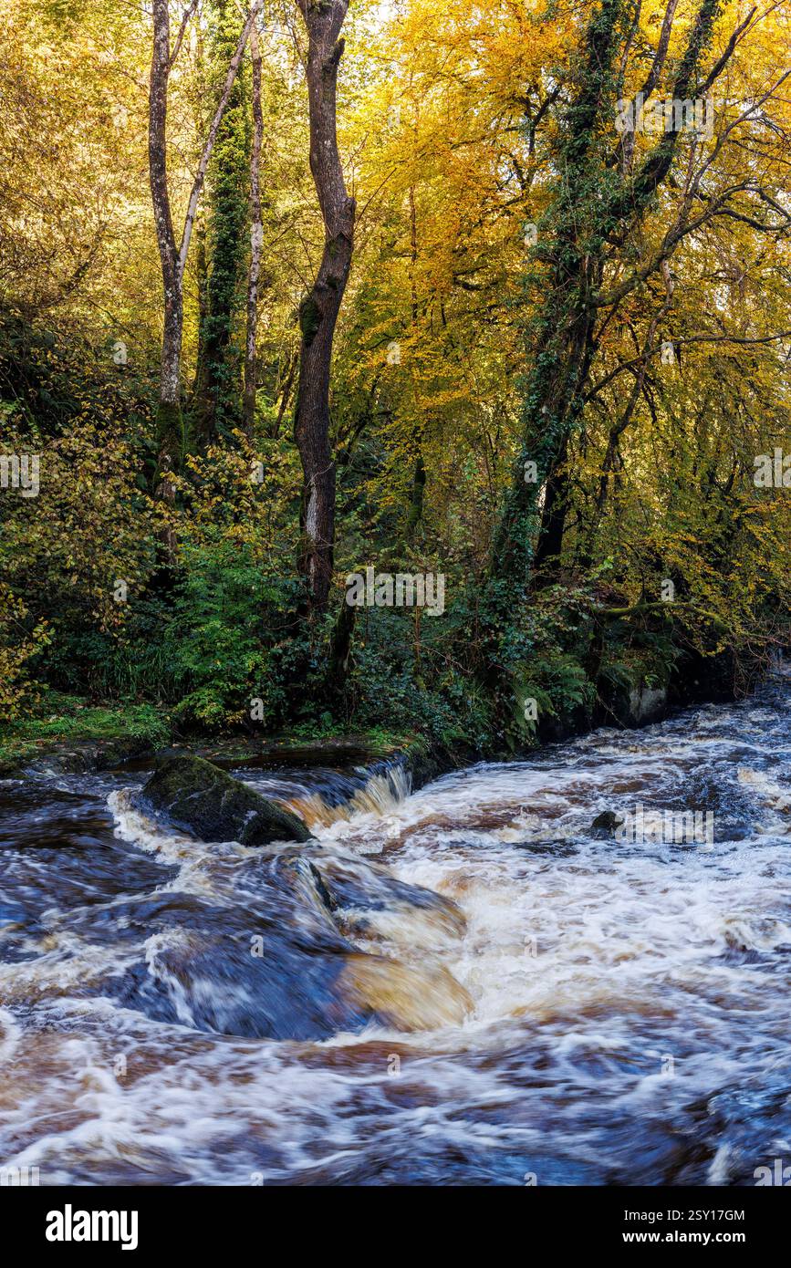 Cladagh Glen, Marble Arch Caves, Co. Fermanagh, Ireland Stock Photo - Alamy