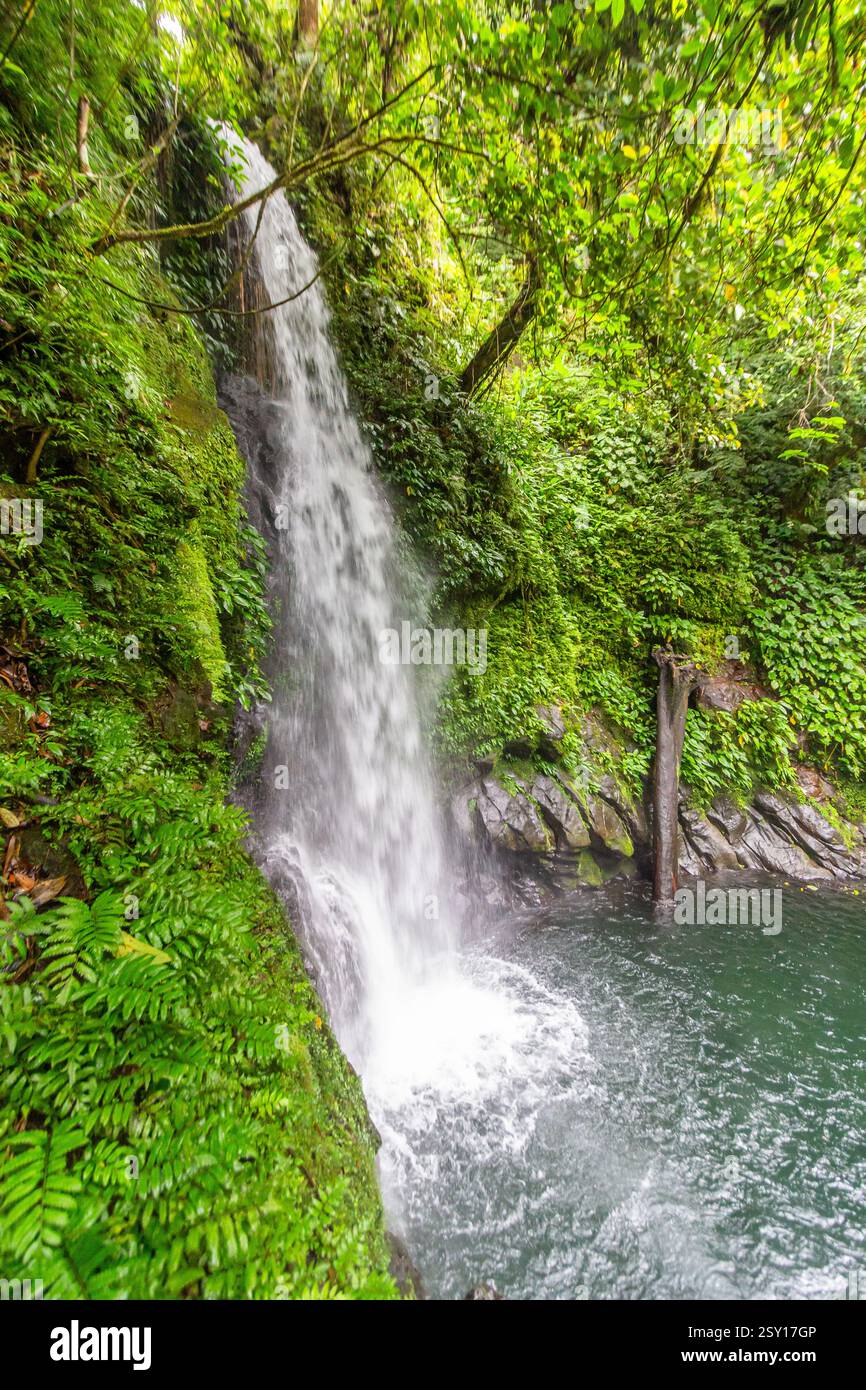 Scenic Malabsay Falls surrounded by lush green vegetation and tropical ...