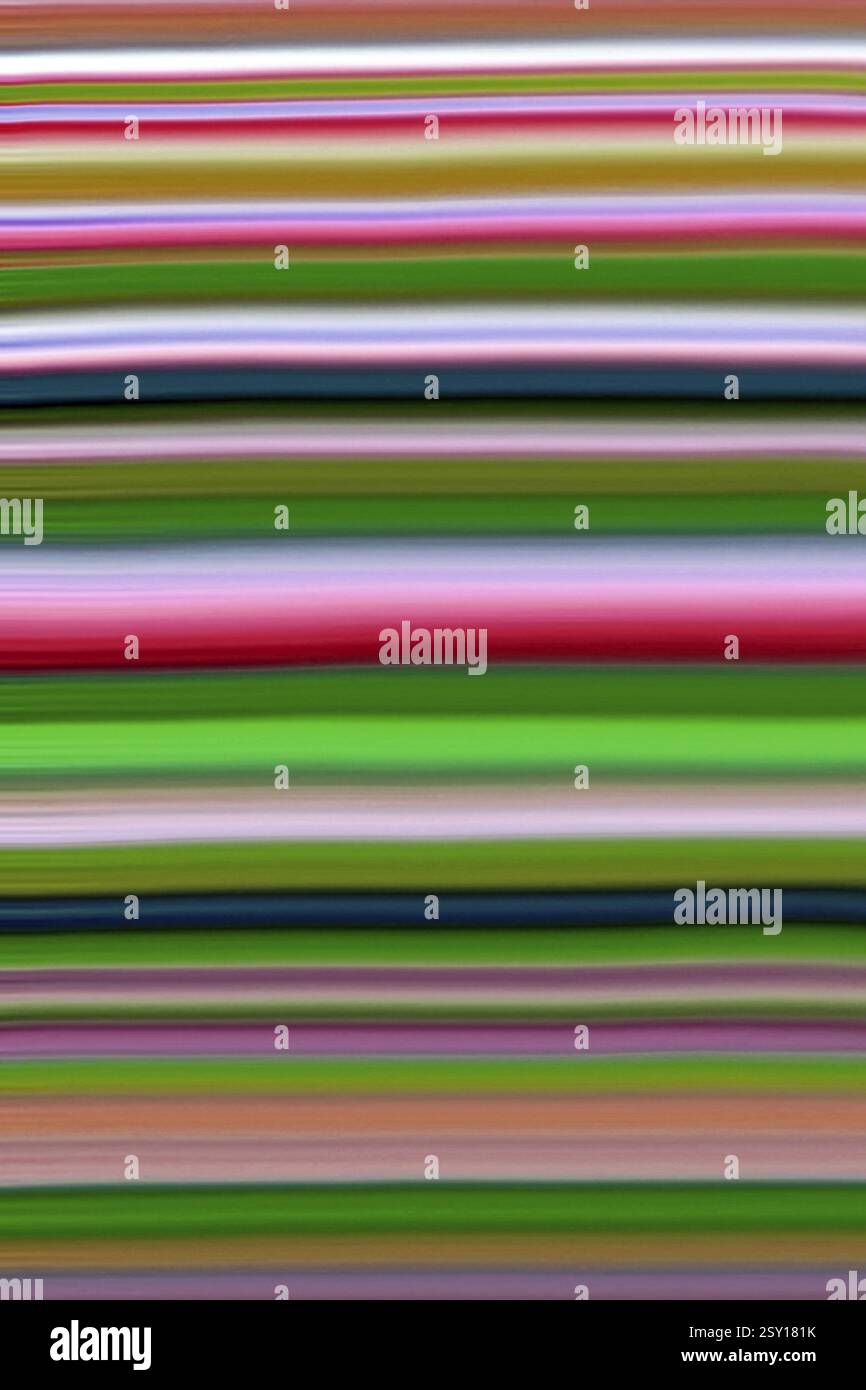 Modern fine art computer digital graphics colours line India Asia Stock ...