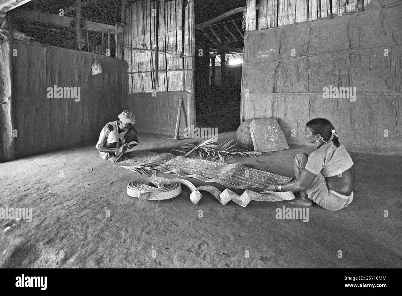 Man woman making palm tree matting, manpur, navsari, gujarat, india ...