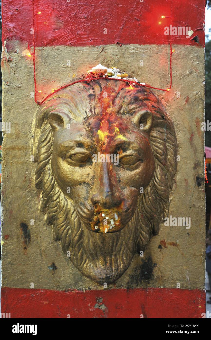Face of lion in Naina devi temple, Nainital, Uttaranchal Uttarakhand ...