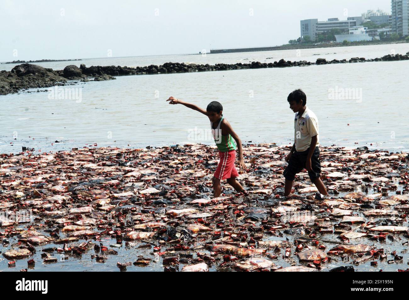 Boys searching biscuit packets from oil soaked due to container ship ...