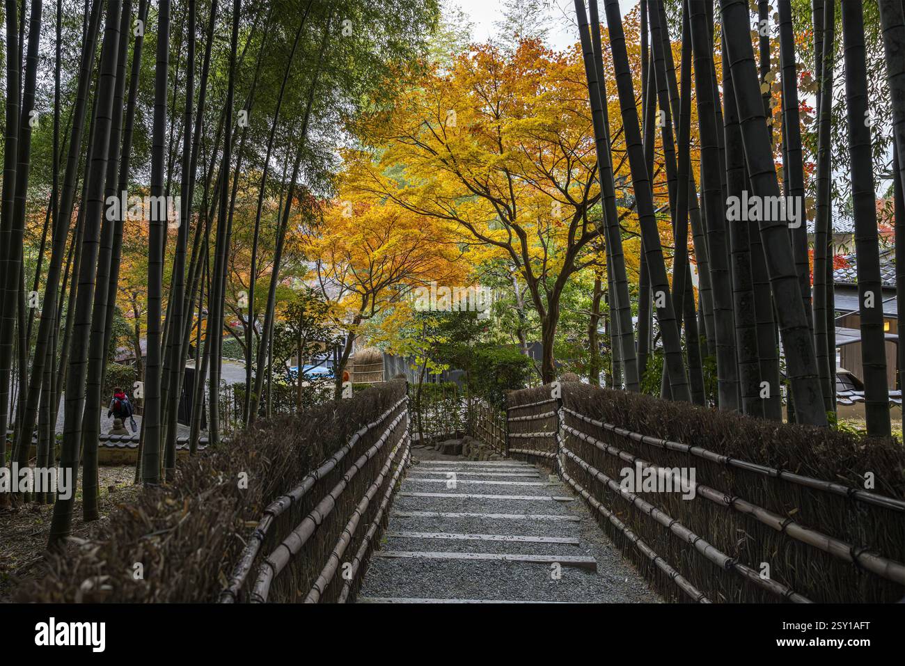 Stone steps japanese garden hi-res stock photography and images - Alamy