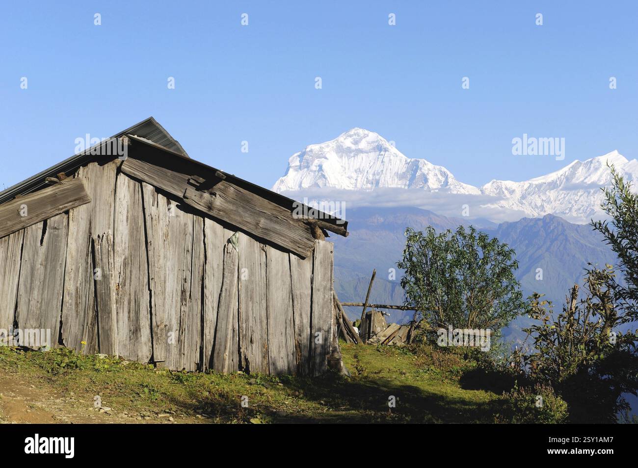Wooden hut at dhaulagiri tukche poon hill peaks, Ghoripani, Nepal, Asia ...