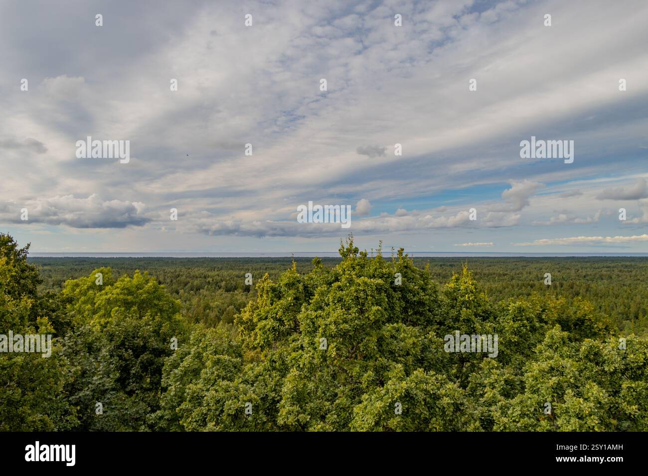Slitere lighthouse. View of the Baltic Sea Stock Photo - Alamy