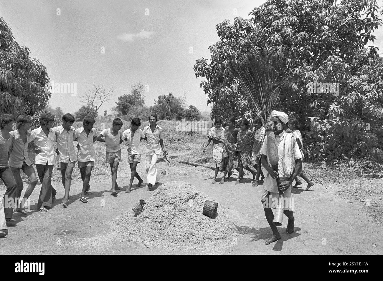 Tribal farmer harvesting dance, manpur, navsari, gujarati, india, asia ...