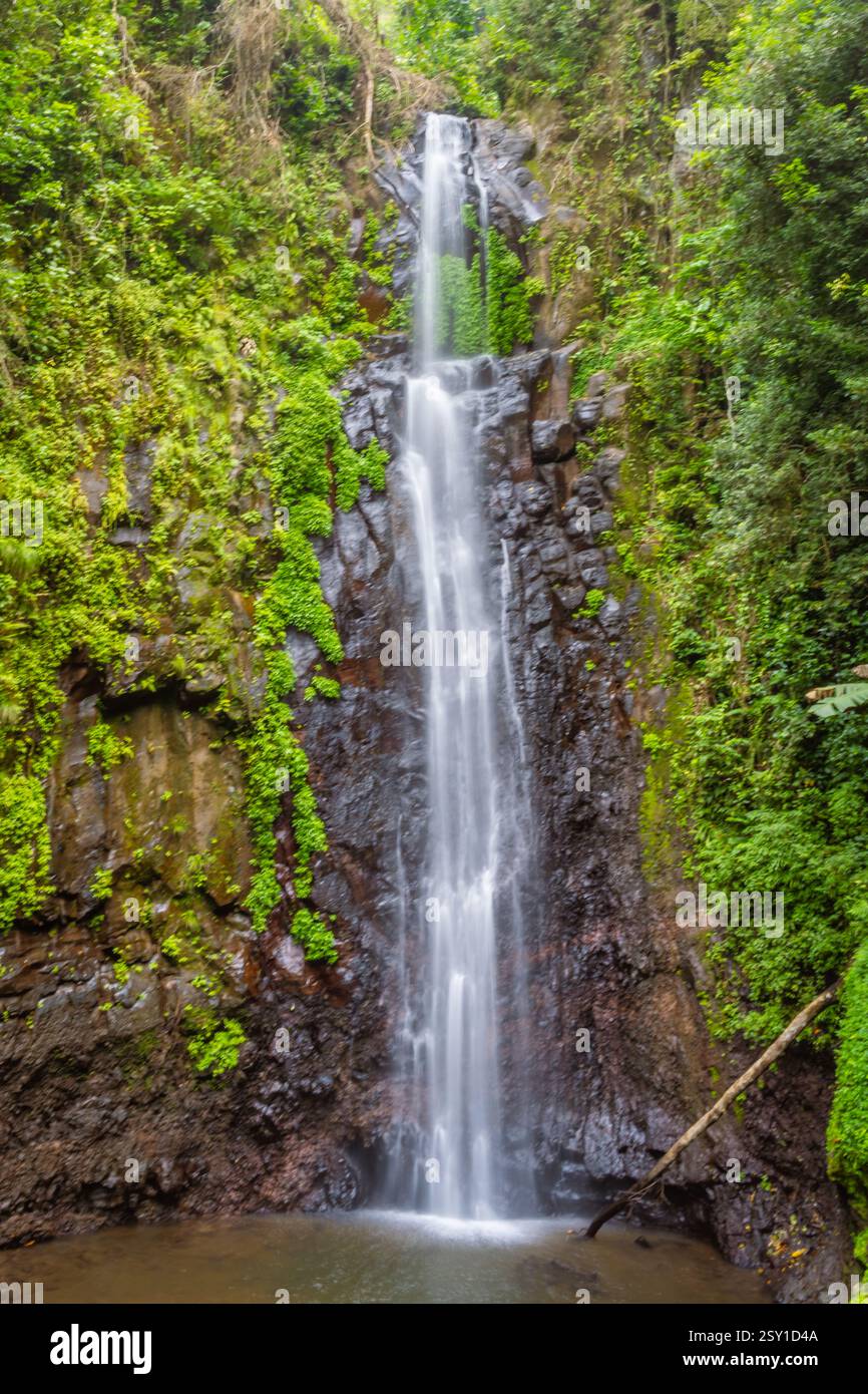 Saint Nicholas Waterfall, Cascata de São Nicolau in Sao Tome and ...
