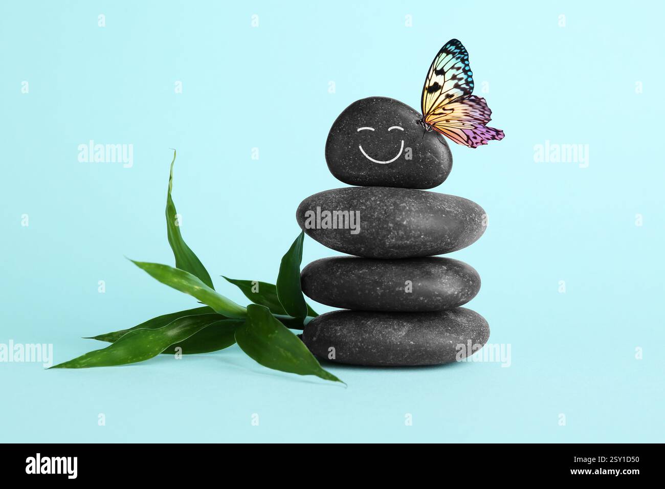 Butterfly on stone with smiling face, stack of pebbles and green branch ...