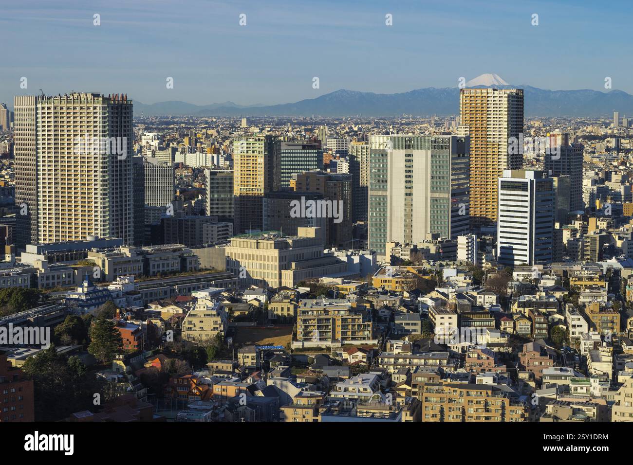 Birds eye view of tokyo township, japan Stock Photo - Alamy