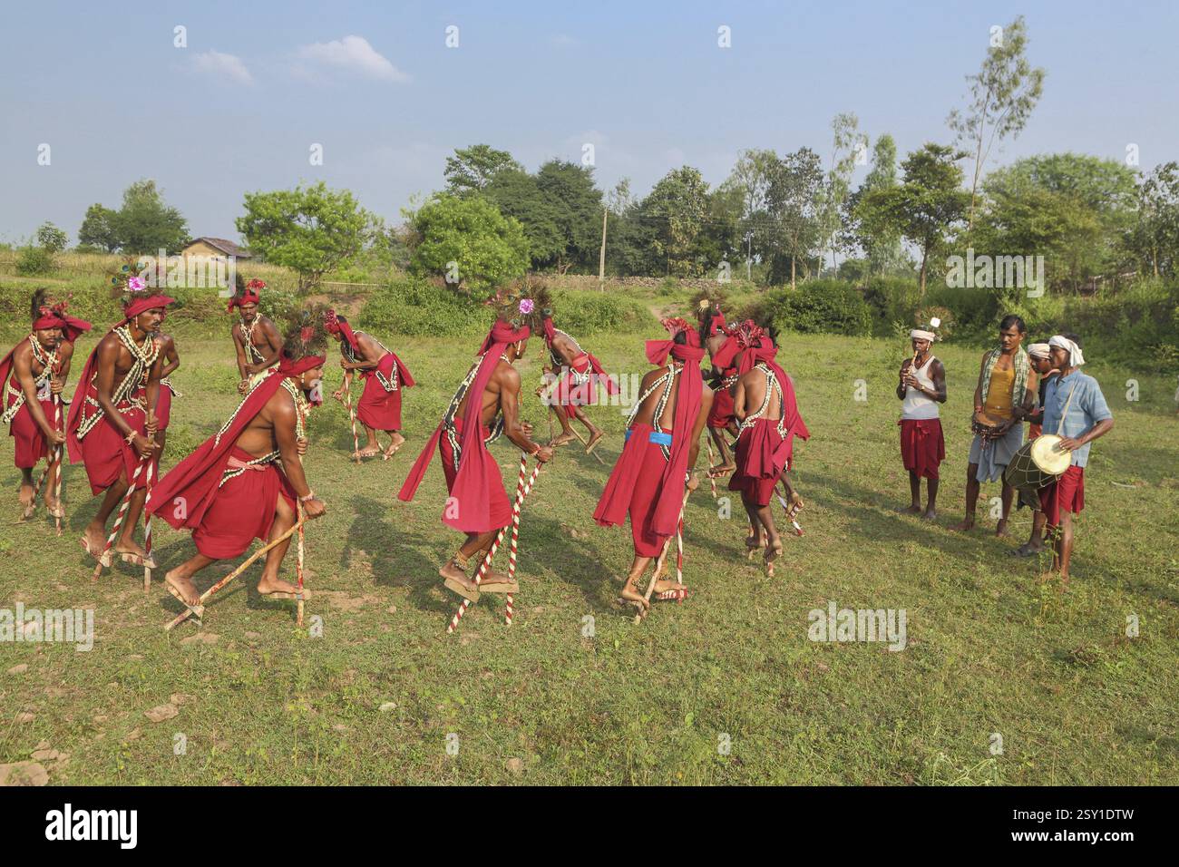 Gendi dance, bastar, chhattisgarh, india, asia Stock Photo - Alamy