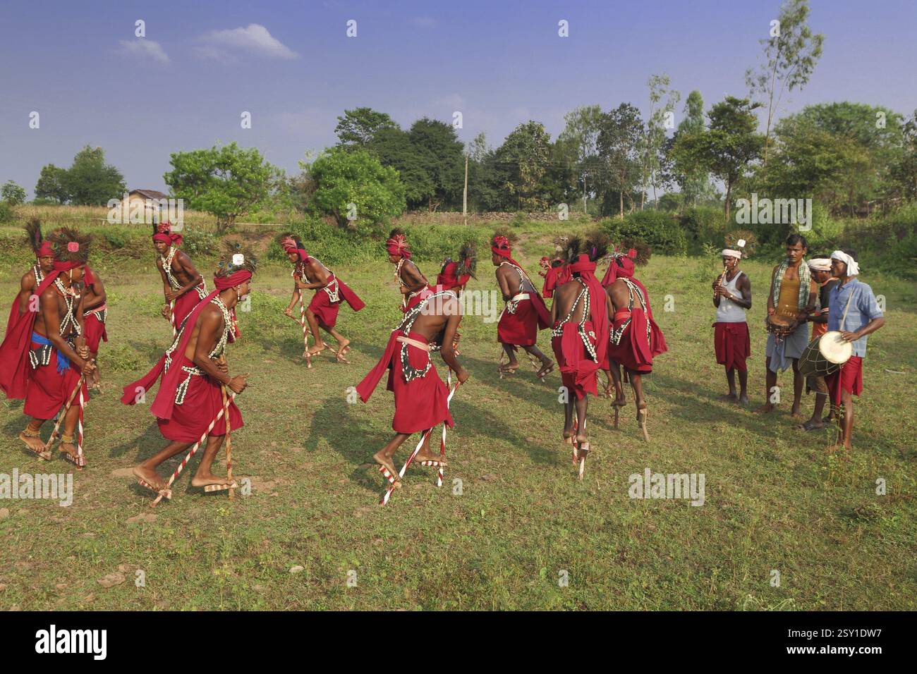Gendi dance, bastar, chhattisgarh, india, asia Stock Photo - Alamy
