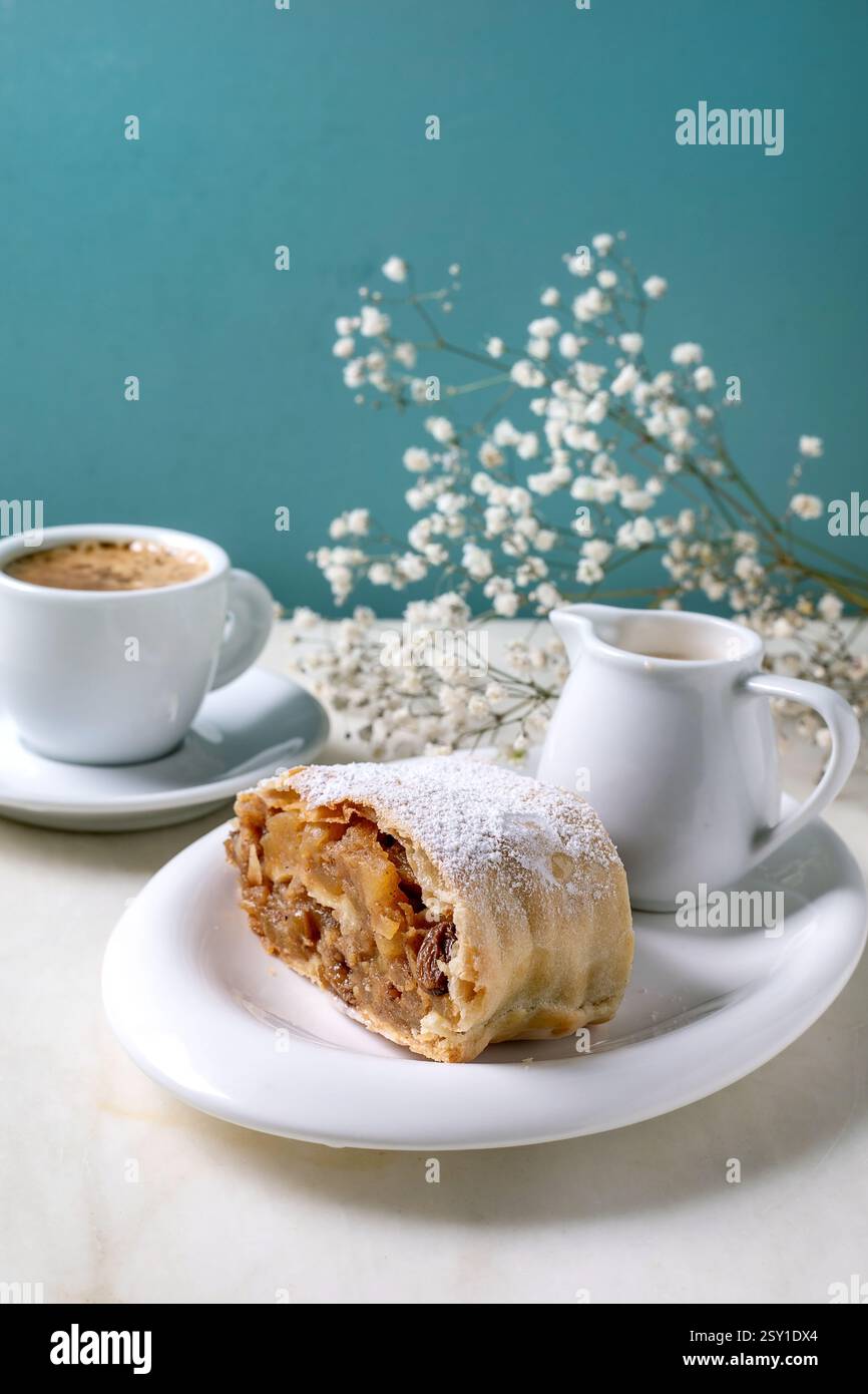 Traditional Austrian apple strudel with raisins. Slice on plate, dusted ...
