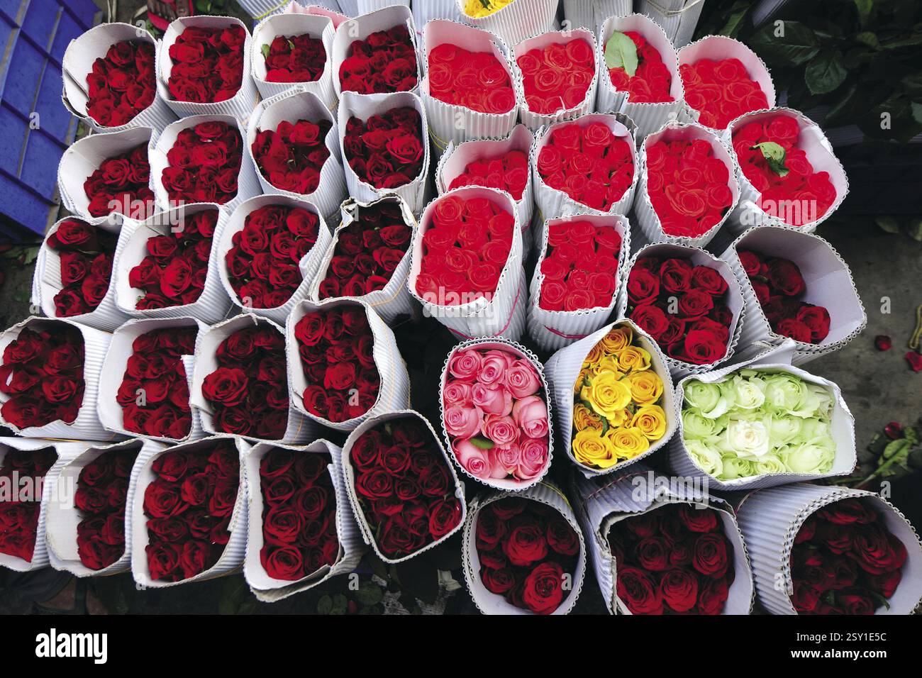 Flowers packed in bucket, india, asia Stock Photo - Alamy