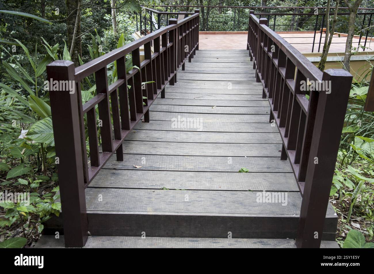 Wooden bridge, mahindra resort, coorg, karnataka, india, asia Stock ...