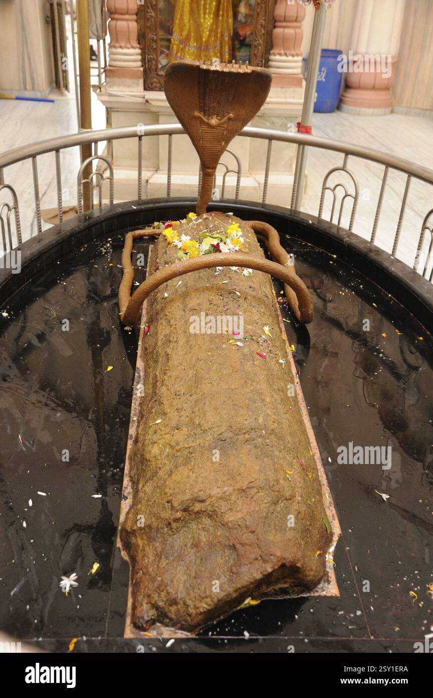 Snake God Shri Tadkeshwar Mahadev mandir Valsad Gujarat, India, Asia ...