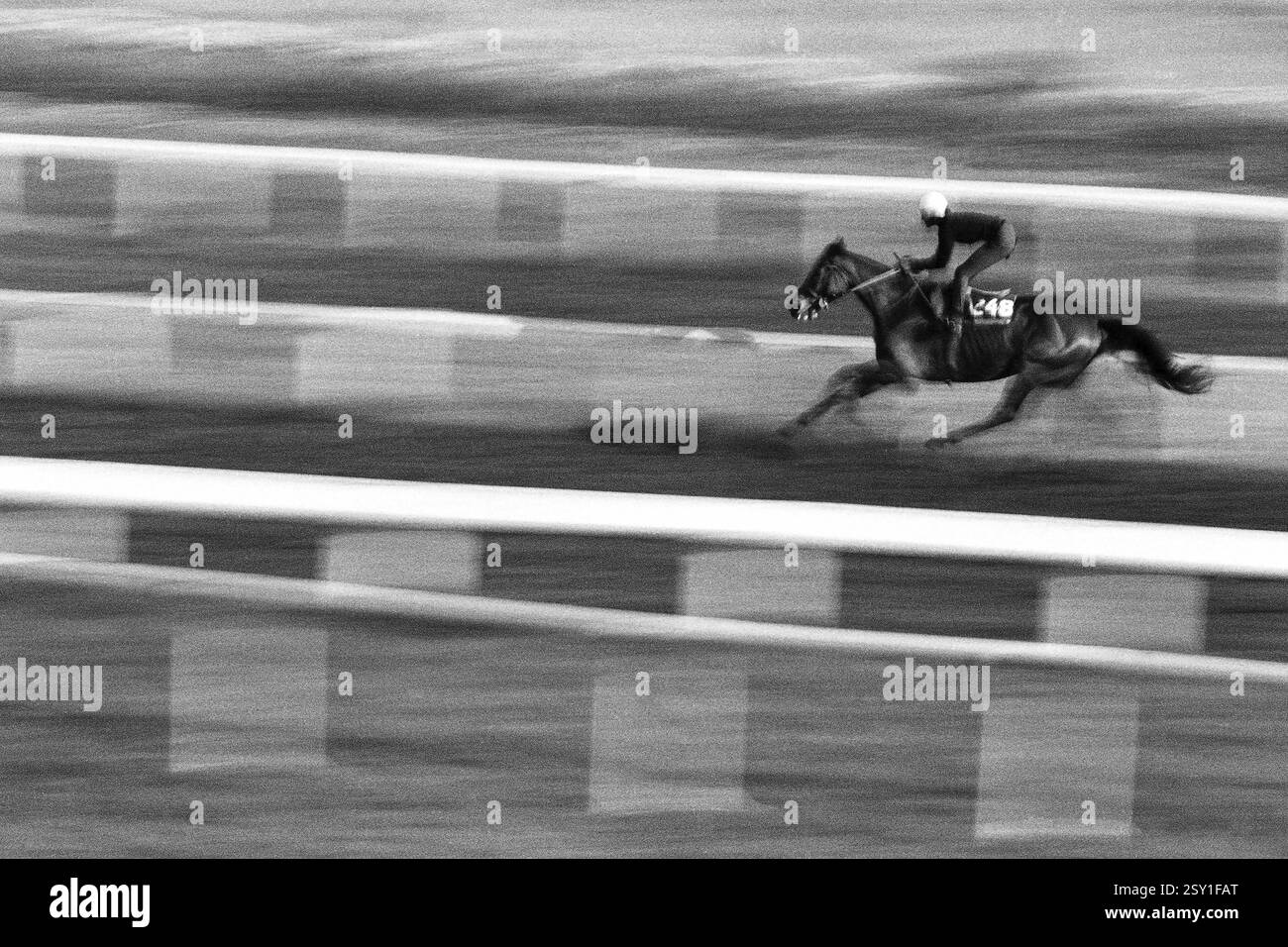 Horse racing at Mahalaxmi race course Mumbai Maharashtra India Asia ...