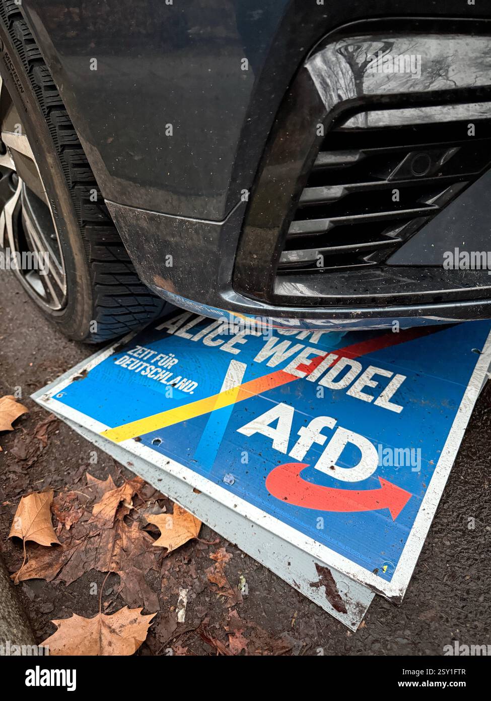 Wahlplakat AfD GER, Berlin,20250226, Plakat der AfD, Alice Weidel ...