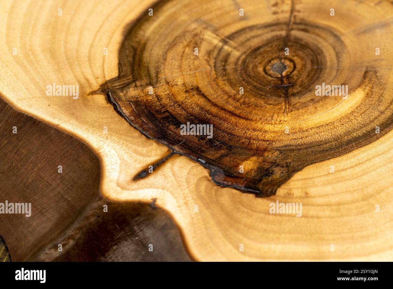 walnut for the manufacture of interior details, processed beautiful ...
