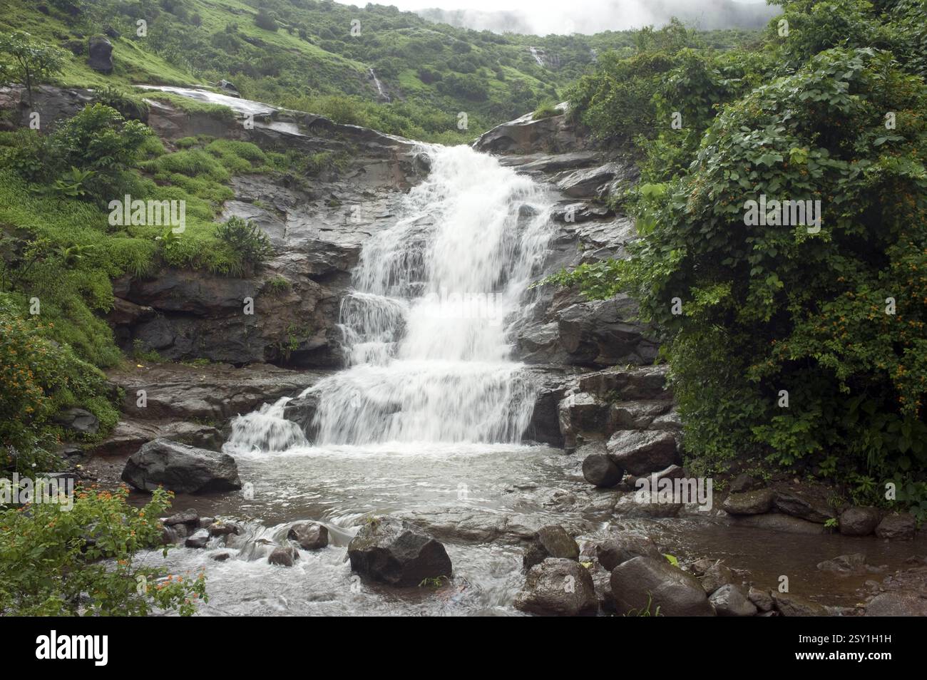 Bhaja maharashtra hi-res stock photography and images - Alamy