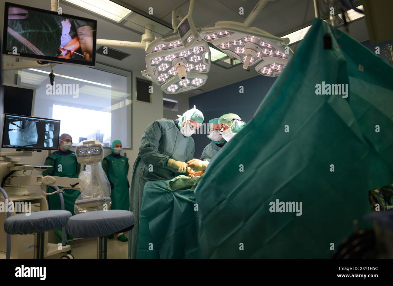 Dresden, Germany. 26th Feb, 2025. Tim Fülling (center l), senior ...
