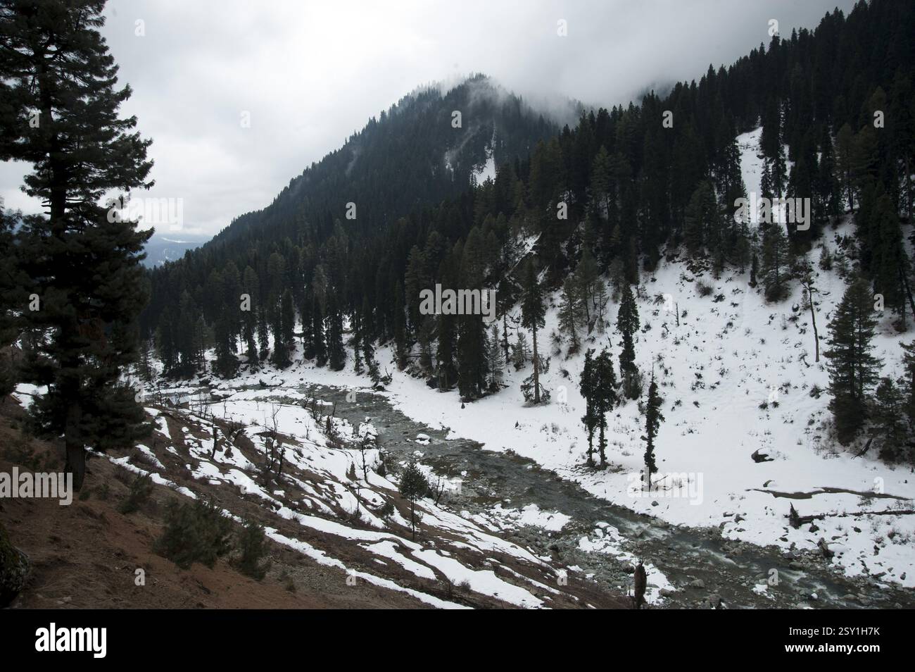 Lidder river, pahalgam, kashmir, india, asia Stock Photo - Alamy