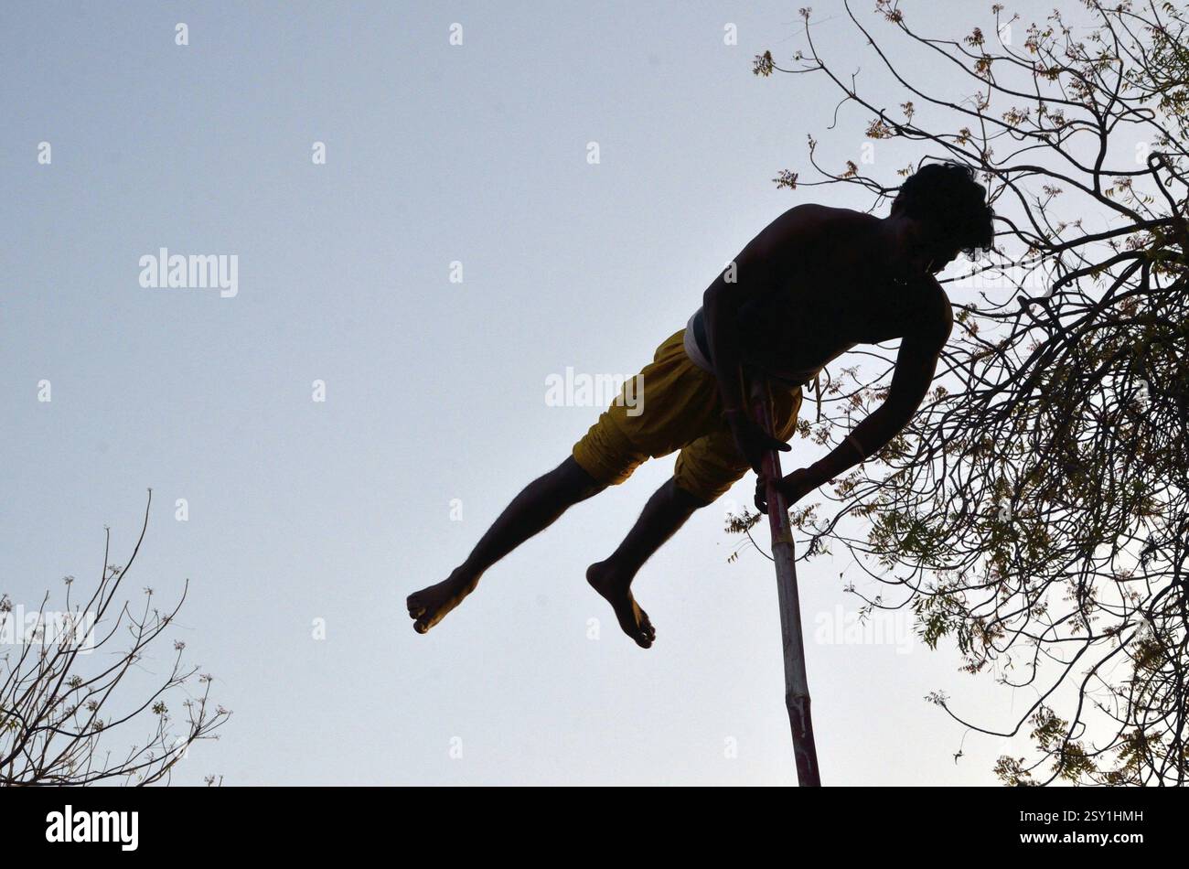 Man performing acrobat on bamboo in Kalaa Mahotsav Jodhpur Rajasthan ...