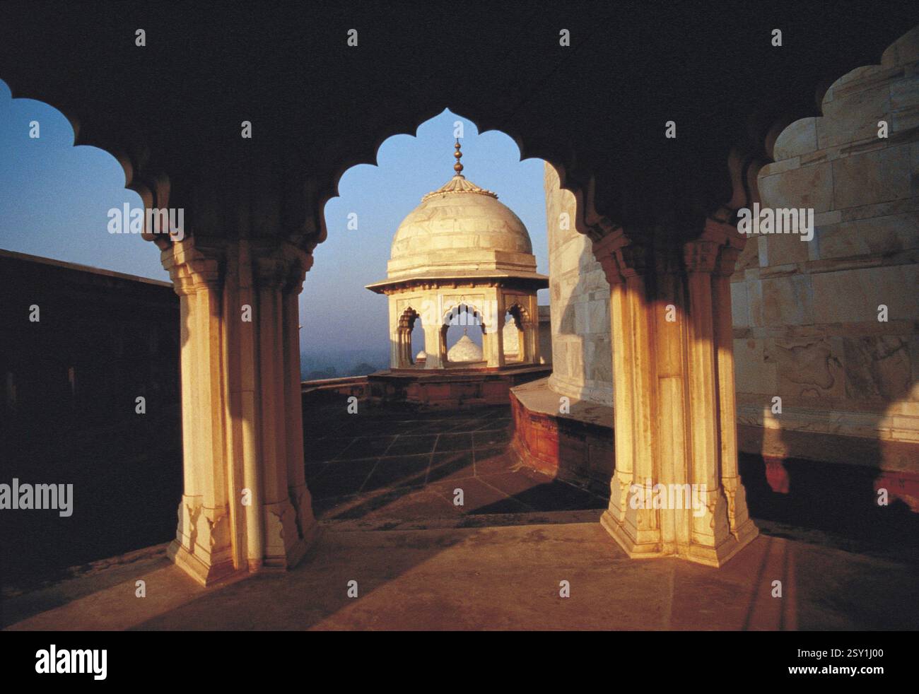 Chhatris taj mahal, agra, delhi, india, asia Stock Photo - Alamy