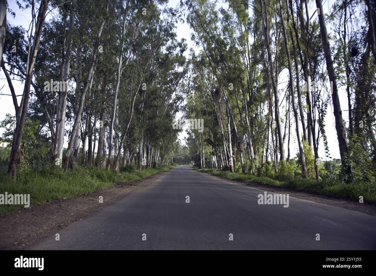 Road of Ralegaon siddhi village of Anna Hazare Maharashtra India Asia ...