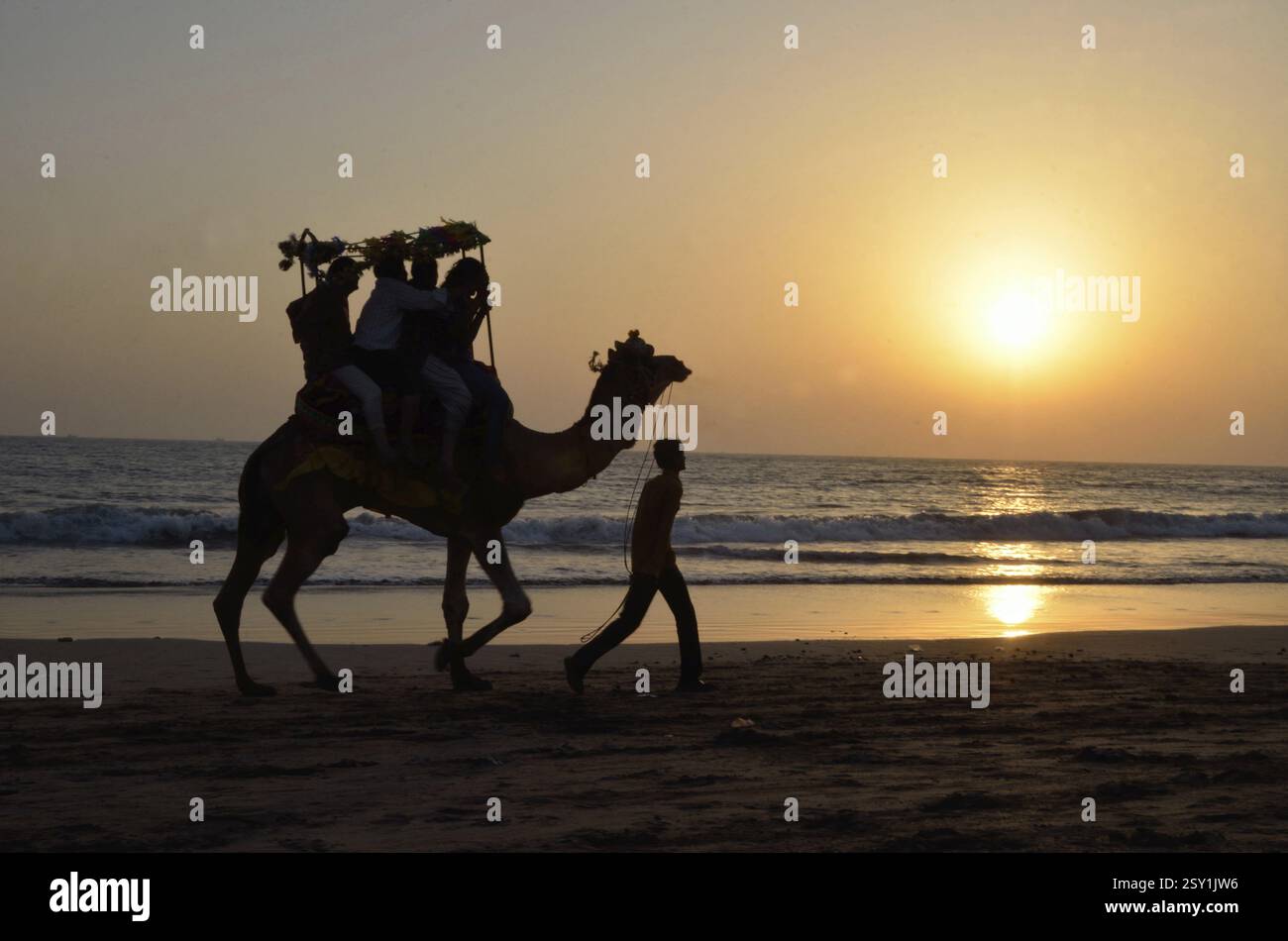 Camel riding somnath beach hi-res stock photography and images - Alamy