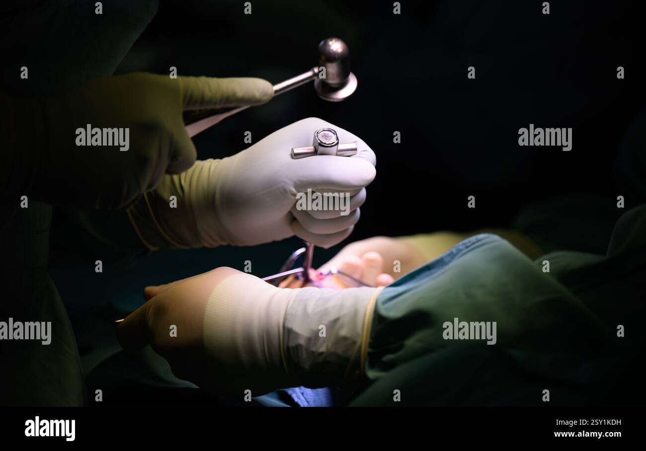 PRODUCTION - 26 February 2025, Saxony, Dresden: A senior physician ...