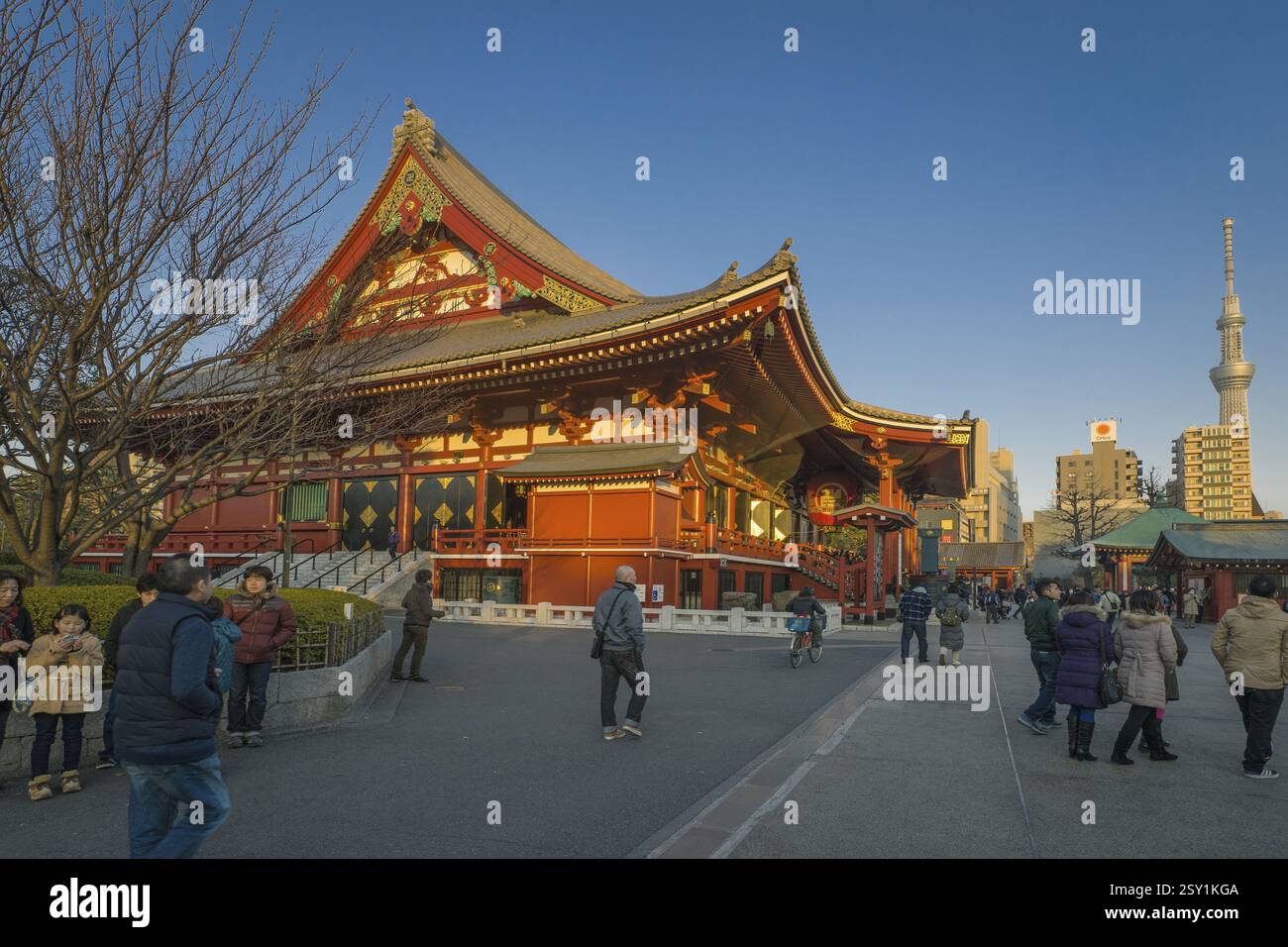Sensoji temple in asakusa area hi-res stock photography and images - Alamy