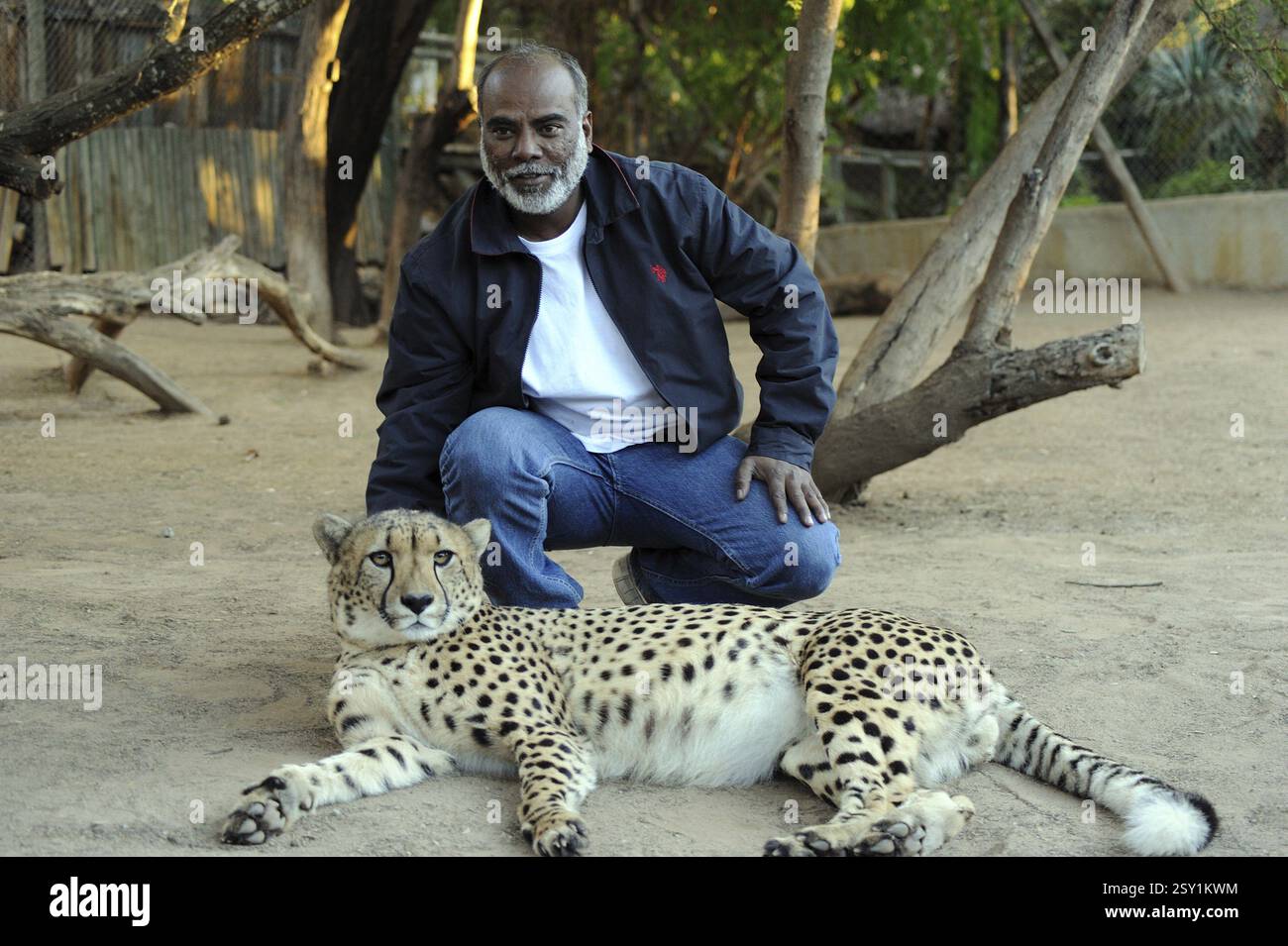 Leopard ranch at Oudtshoorn south africa Stock Photo - Alamy