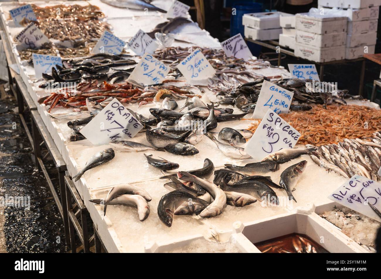 Fish and seafood at the fish market in Naples, Italy. Fish names ...