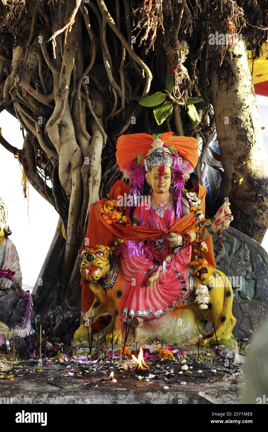 Durga statue under tree in Pushkar at Rajasthan India Stock Photo - Alamy