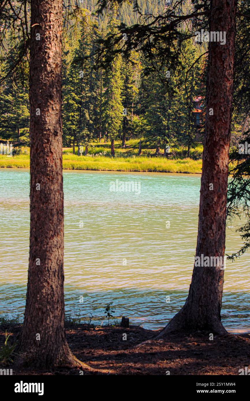 Banff hiking trail Stock Photo - Alamy