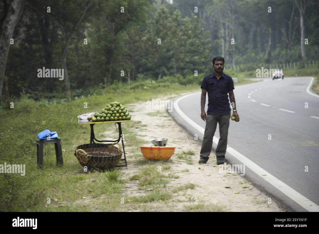 Fruit vendor on road, coorg, karnataka, india, asia Stock Photo - Alamy