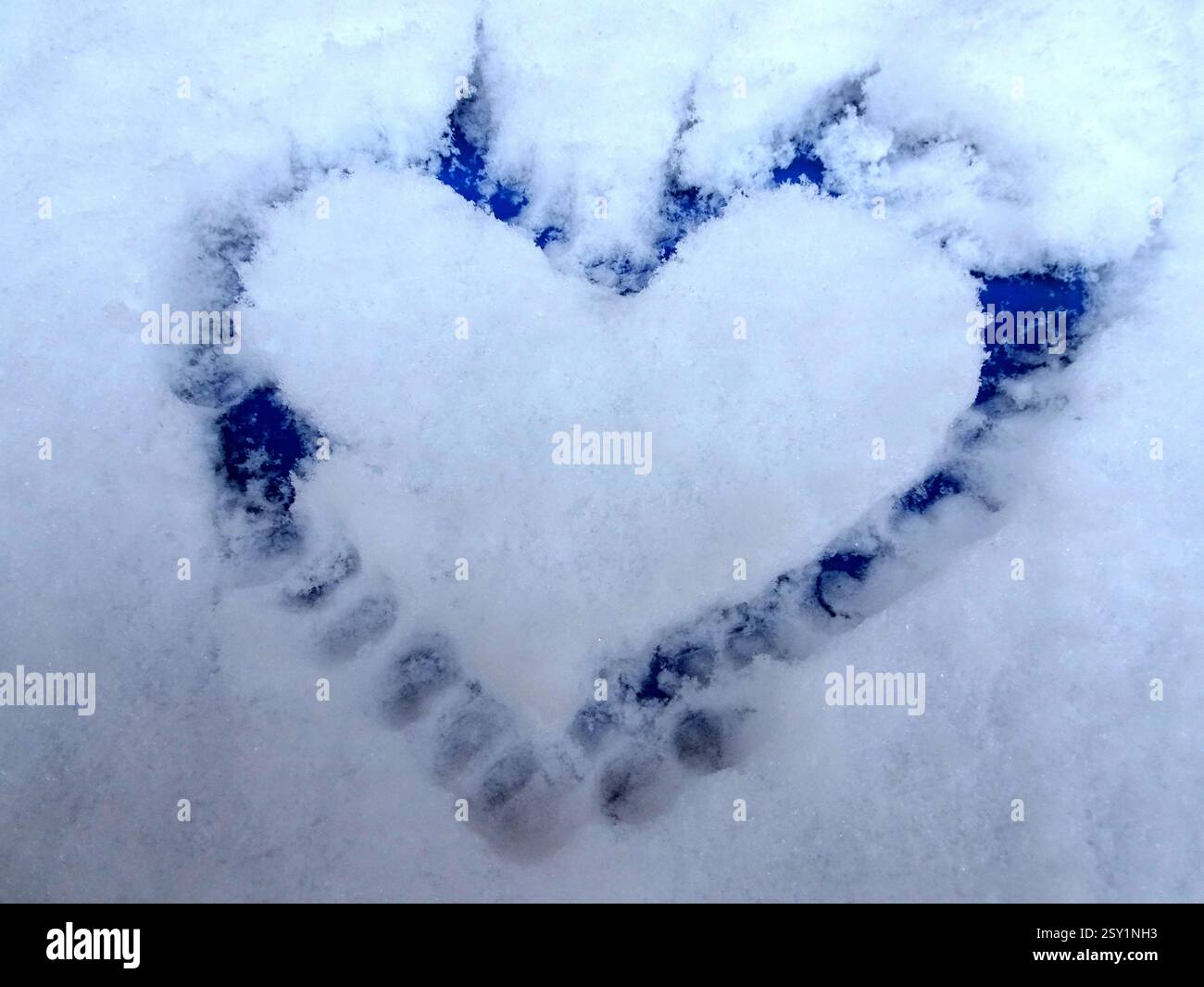 Layer fresh snow on hi-res stock photography and images - Alamy