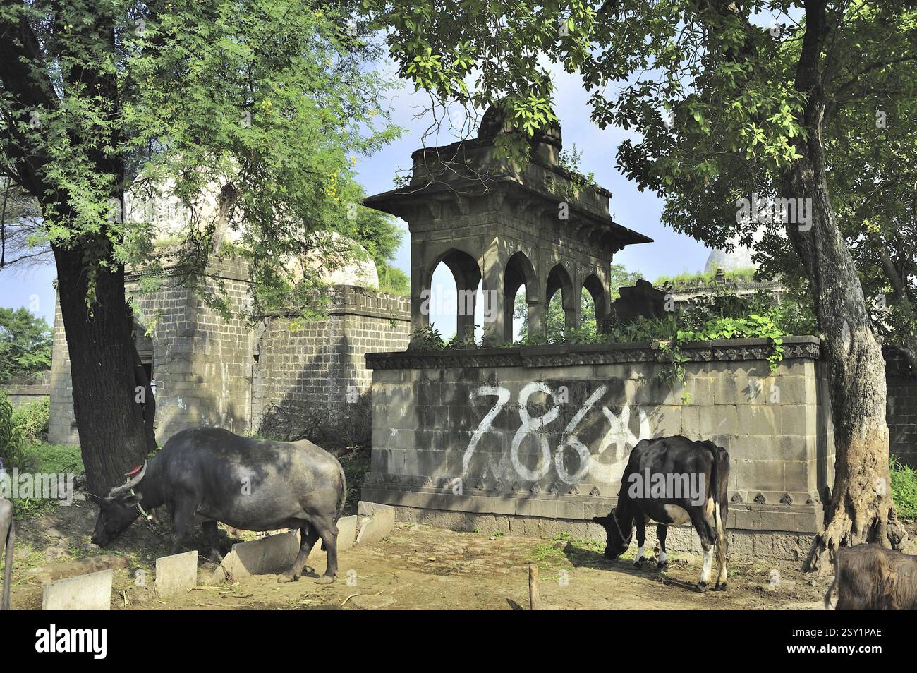 Ghulam ali tomb ahmadnagar Maharashtra India Asia Stock Photo - Alamy