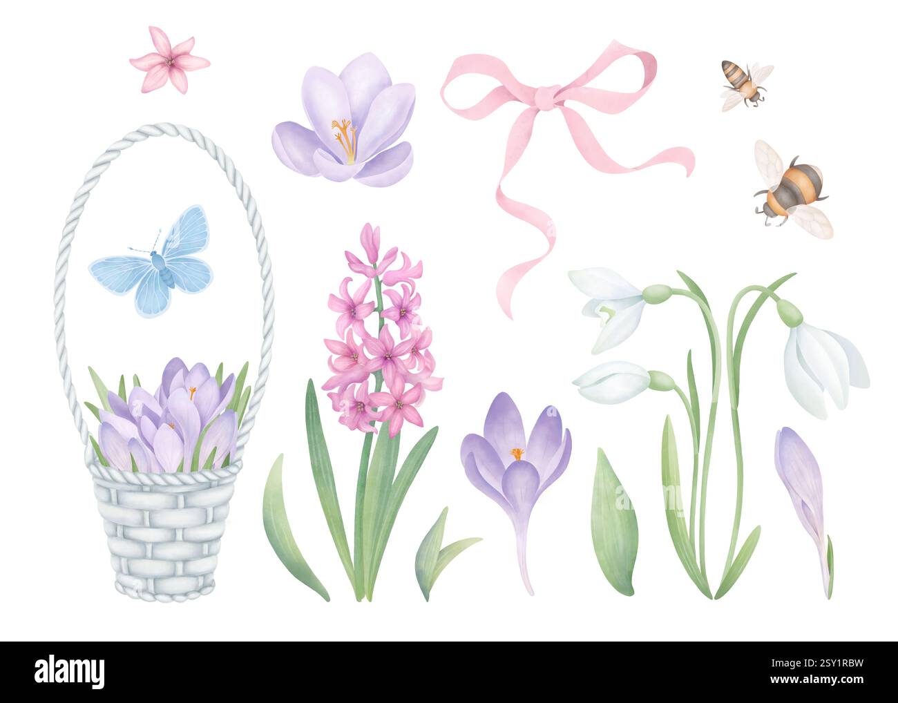 Spring flowers set with wicker basket, pink ribbon and garden insects ...