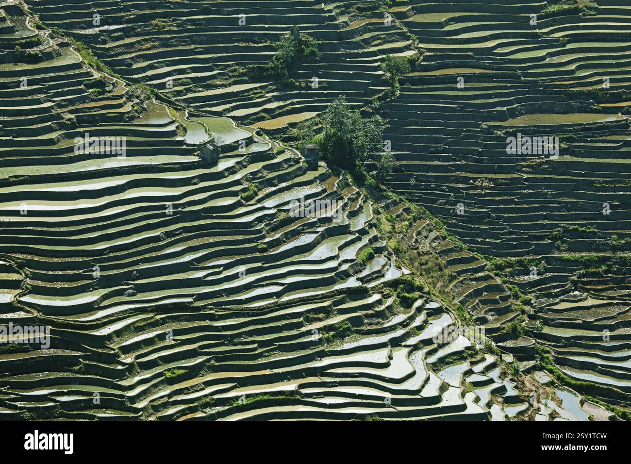 Top down view rice terraces hi-res stock photography and images - Alamy