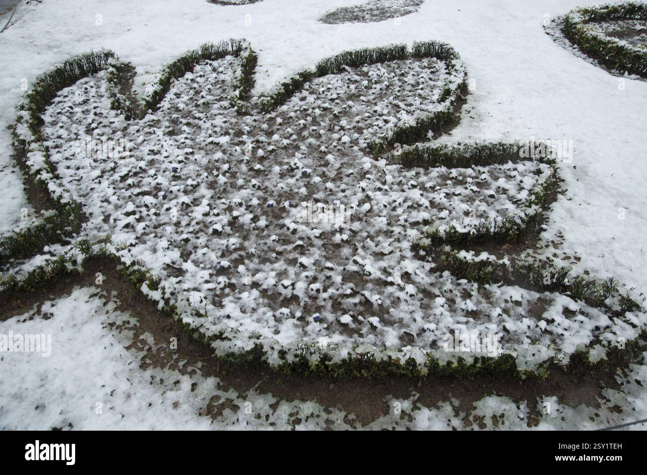 Snow fall at shalimar garden, srinagar, kashmir, india, asia Stock ...