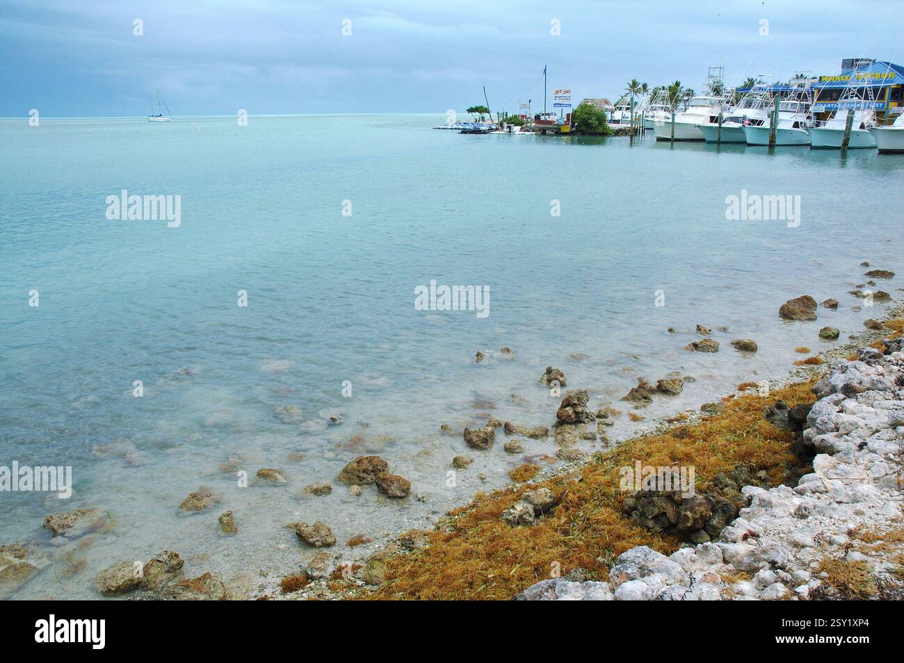 Coast and beach in South Florida Coast landscape seen from the overseas ...