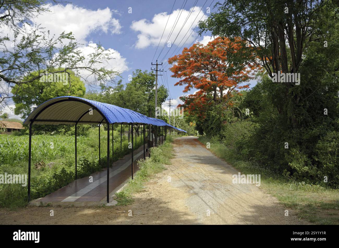 Road for temple, bankapur, haveri, Karnataka, india, asia Stock Photo ...
