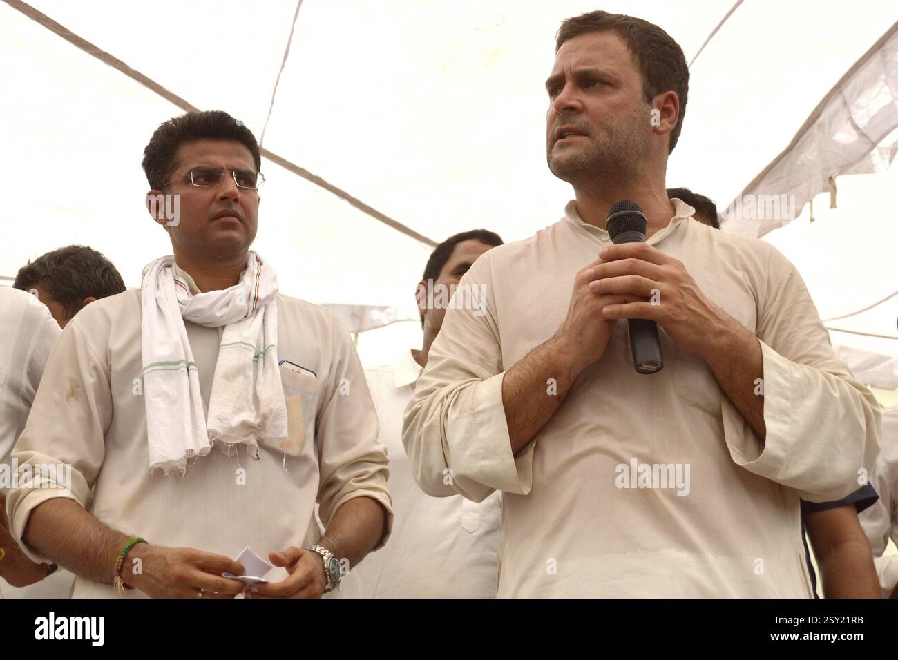 Indian national congress party members, rahul gandhi and sachin pilot ...