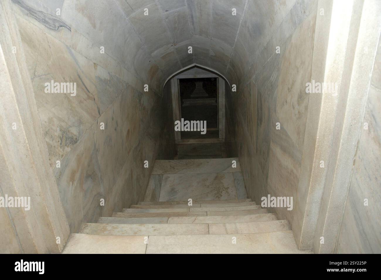 Entrance of chamber taj mahal, agra, delhi, india, asia Stock Photo - Alamy