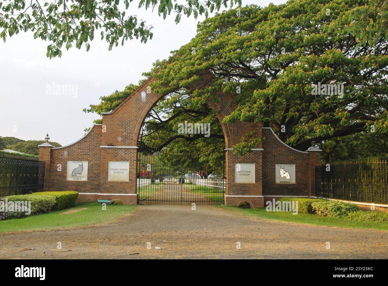 Poonawalla stud farm, pune, maharashtra, india, asia Stock Photo - Alamy