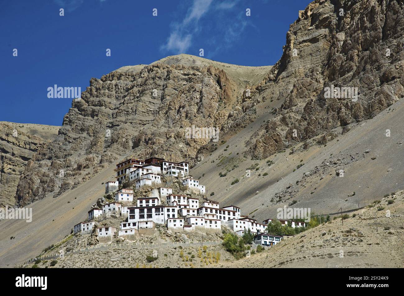 Key monastery, spiti valley, himachal pradesh, india, asia Stock Photo ...