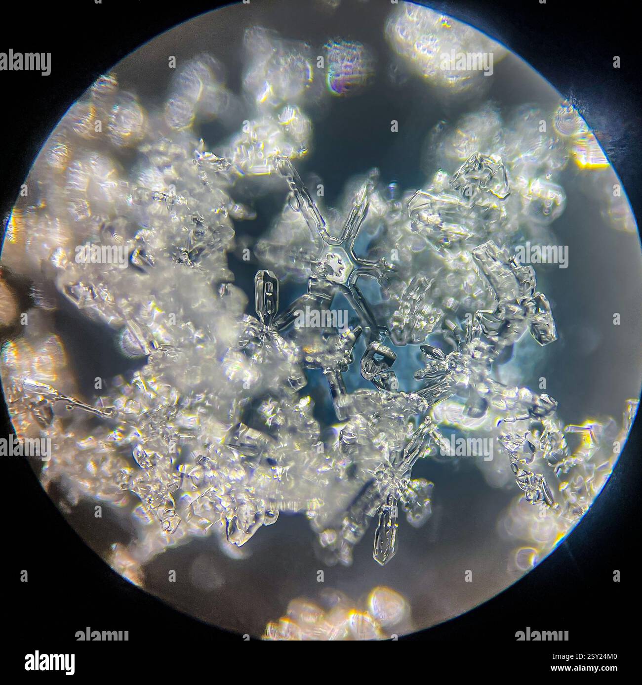 View on snowflake under microscope ocular Stock Photo - Alamy