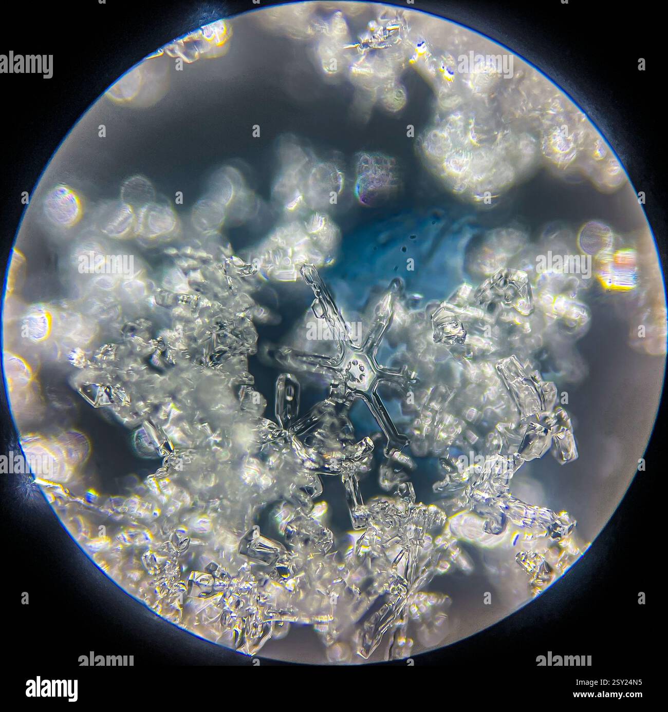 View on snowflake under microscope ocular Stock Photo - Alamy