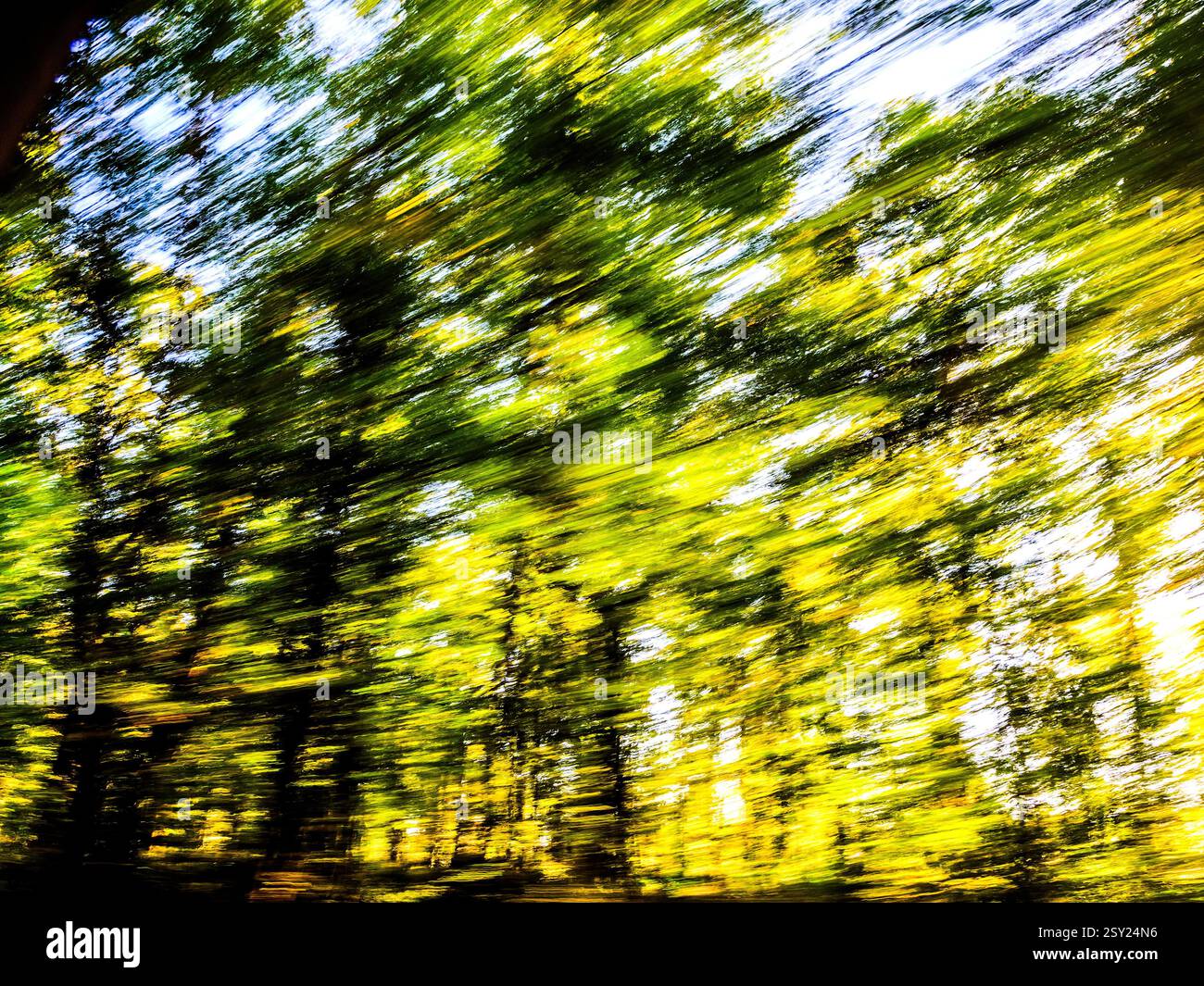 Image of blurred trees taken from moving vehicle - France Stock Photo ...